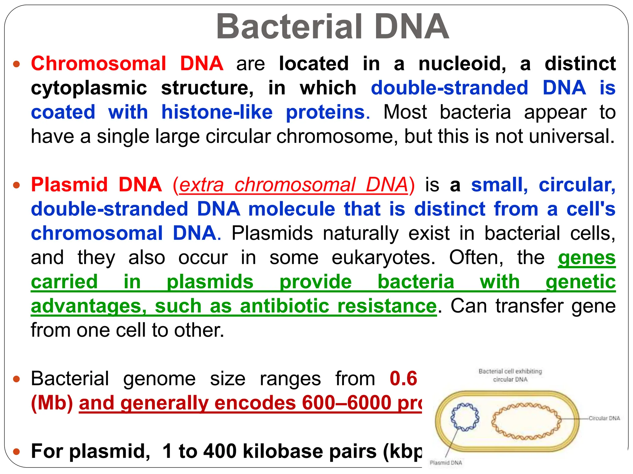 Genetic elements of bacteria - Structures and functions of bacteria chromosomes and plasmid.pptx