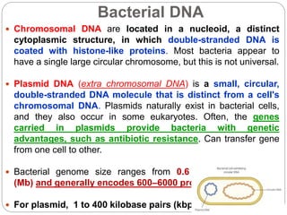 Genetic elements of bacteria - Structures and functions of bacteria ...