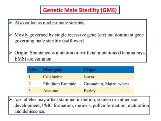 male sterility | PPTX
