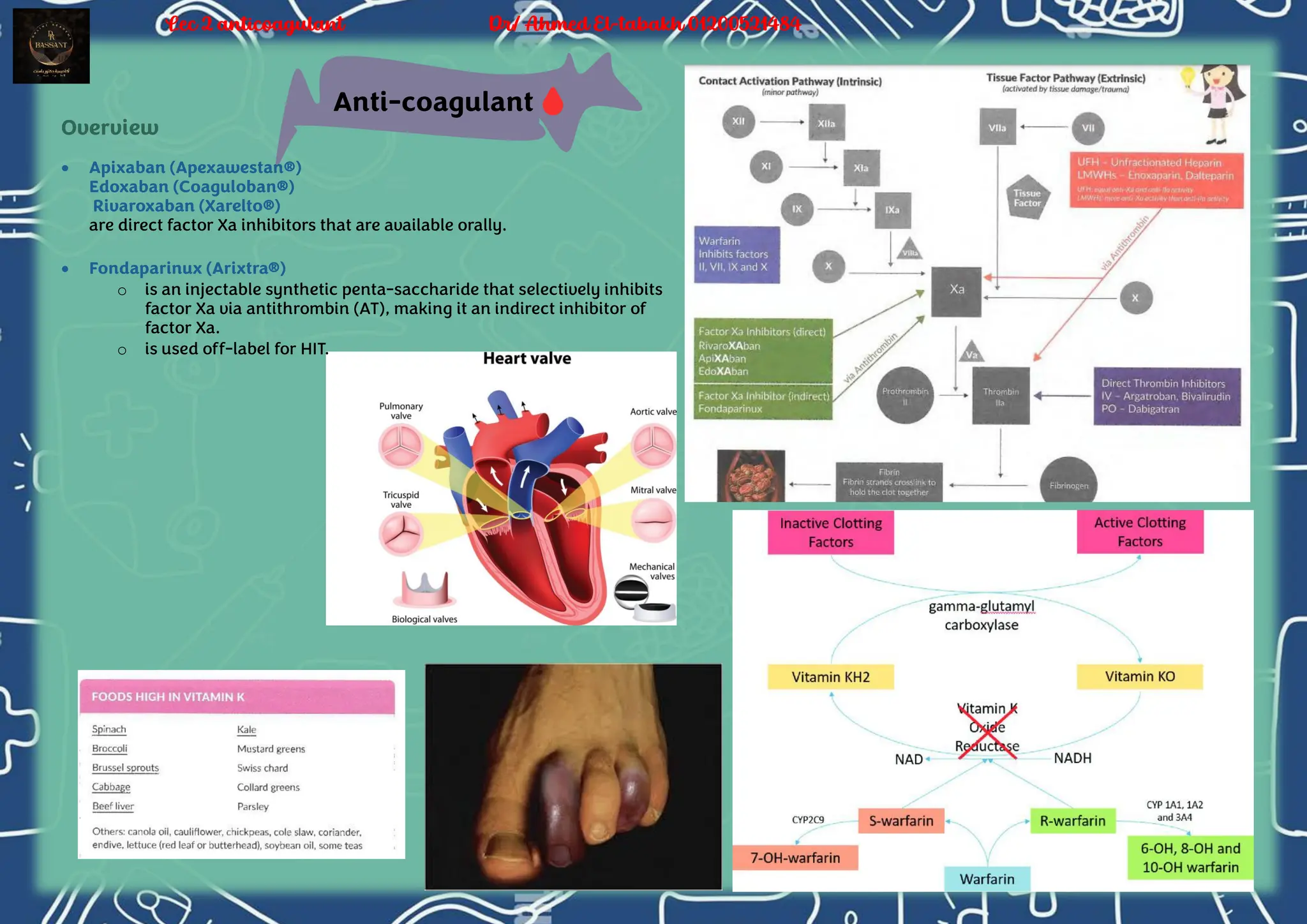 anticoagulant drugs all information .pdf