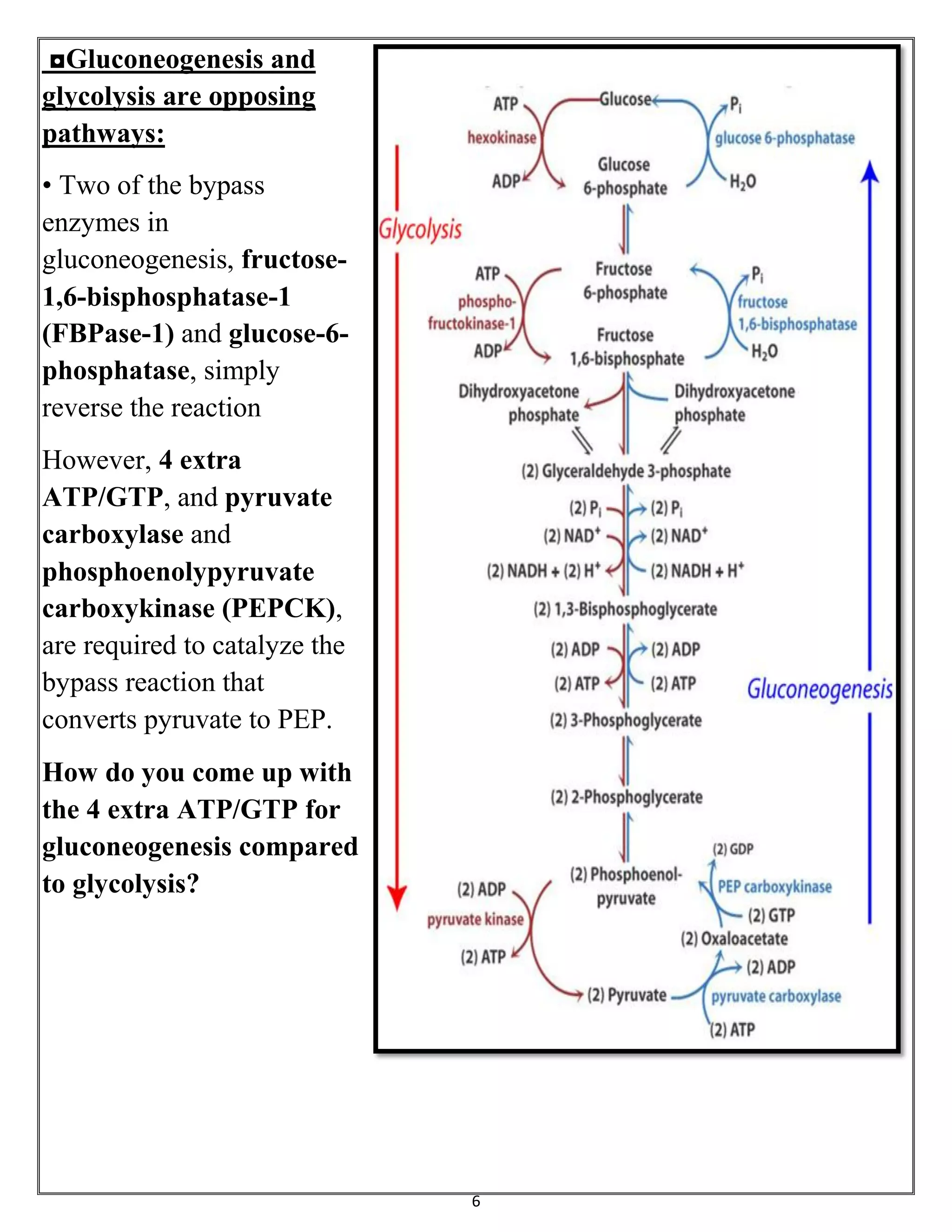 Glycolysis and Gluconeogenesis and PFK-2/FBPase-2 enzyme and Pentose ...