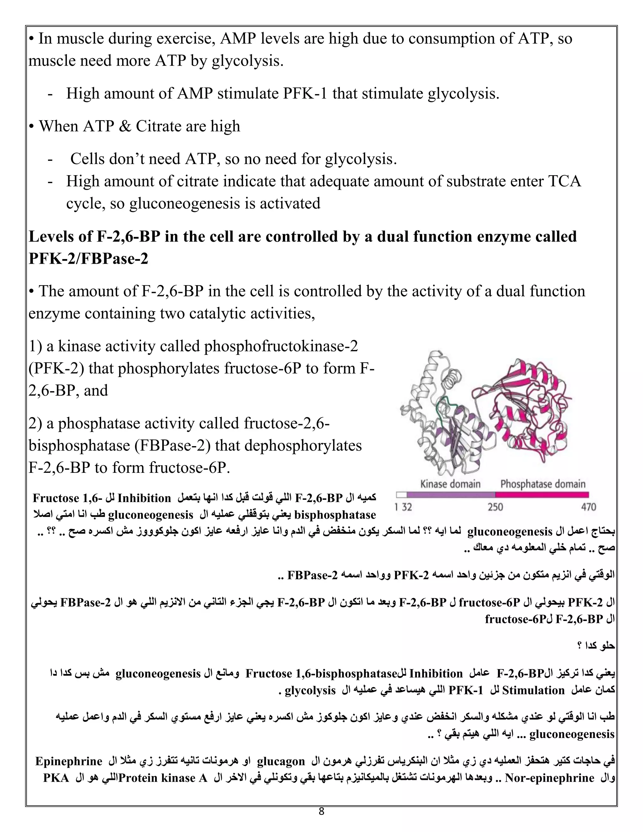Glycolysis and Gluconeogenesis and PFK-2/FBPase-2 enzyme and Pentose ...