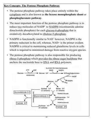 Glycolysis and Gluconeogenesis and PFK-2/FBPase-2 enzyme and Pentose ...