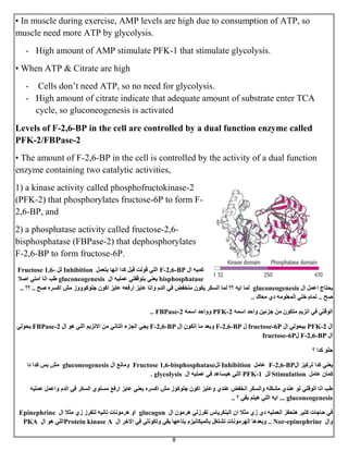 Glycolysis and Gluconeogenesis and PFK-2/FBPase-2 enzyme and Pentose ...