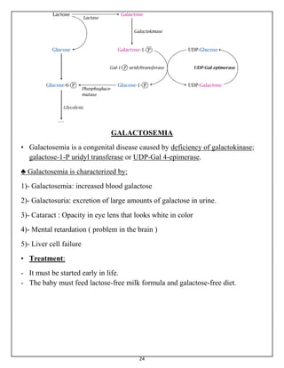 Glycolysis And Gluconeogenesis Concept Map
