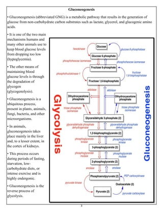 Glycolysis And Gluconeogenesis Concept Map