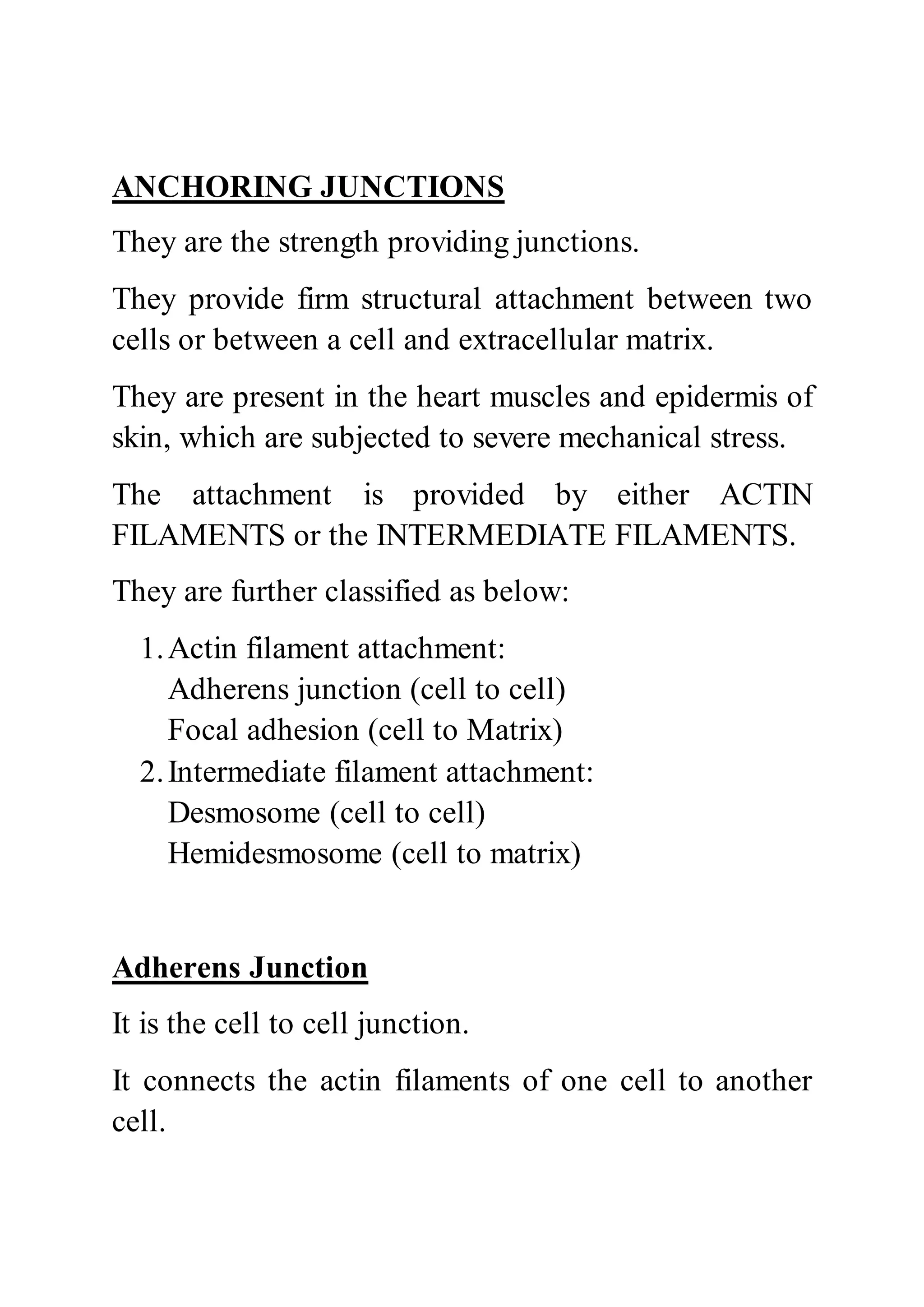 cell_junctions | DOCX