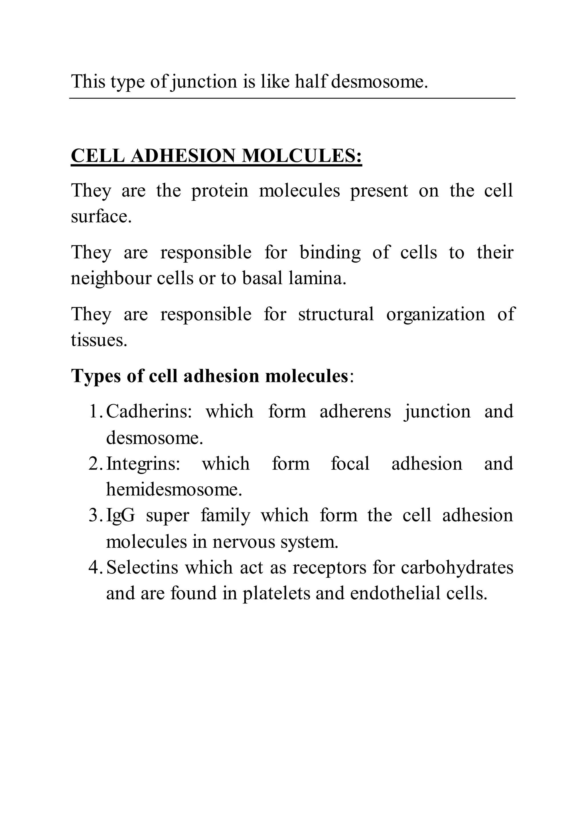 cell_junctions | DOCX