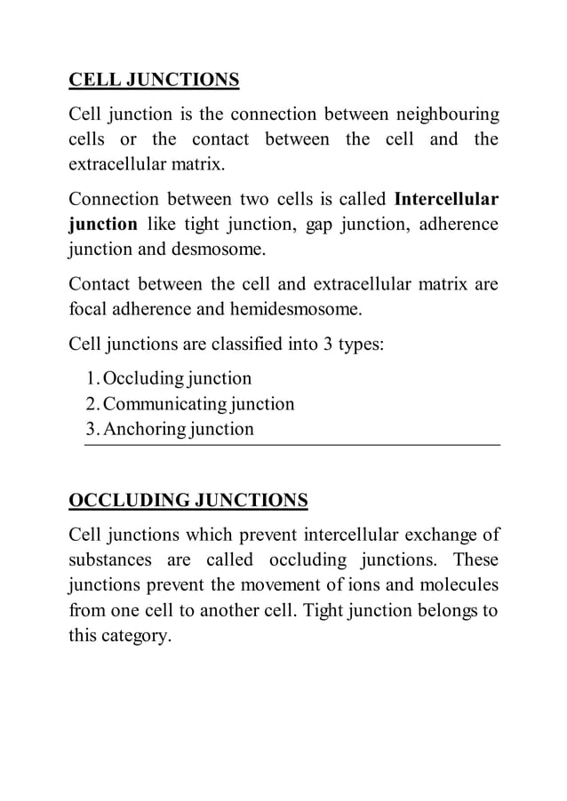 cell_junctions | DOCX