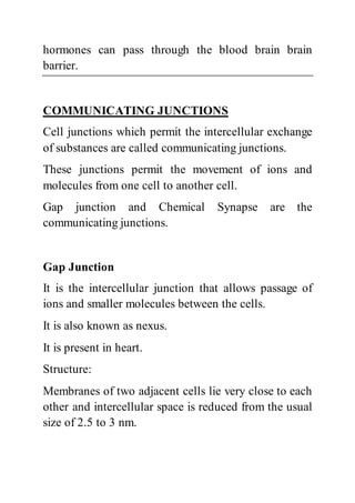 cell_junctions | DOCX