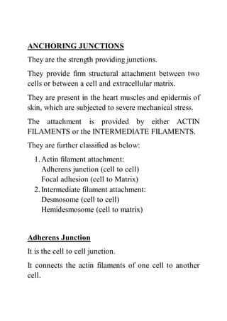 cell_junctions | DOCX