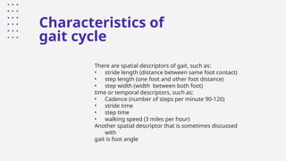 lec 2 gait analysis and confirmatory special test (1).pptx
