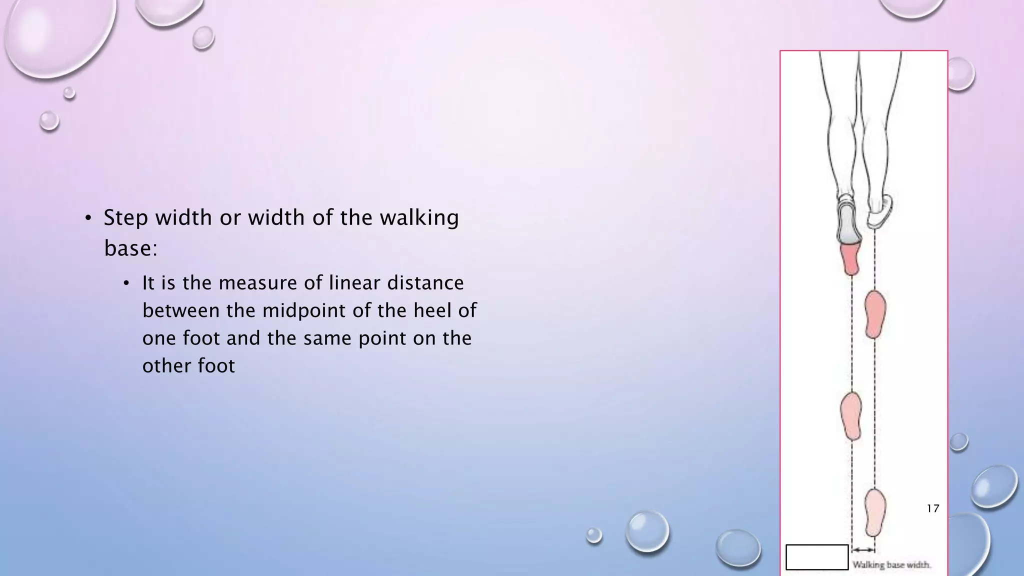 Lec 2 gait cycle | PPT
