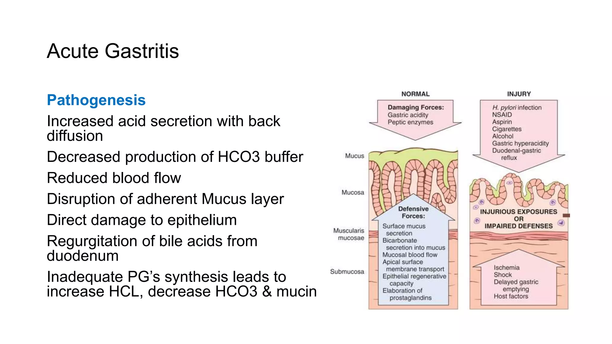 Lec 2 gastritis, gastric neoplasm | PPTX