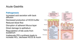 Lec 2 gastritis, gastric neoplasm | PPTX | Digestive Disorders ...