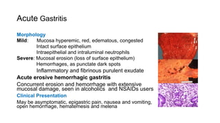 Lec 2 gastritis, gastric neoplasm | PPTX | Digestive Disorders ...