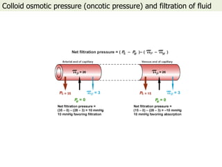 lec 2_hematology_plasma_proteins.pptx