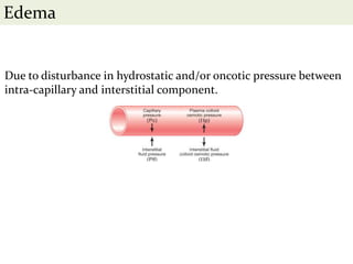lec 2_hematology_plasma_proteins.pptx