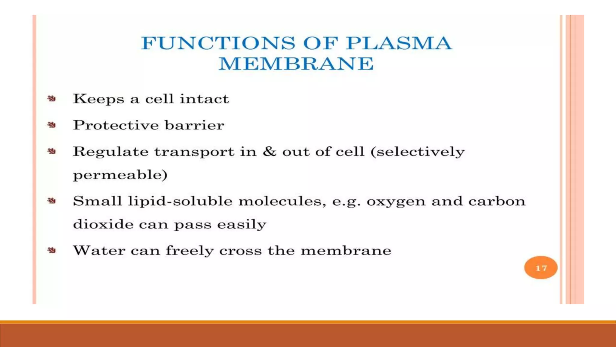 LEC 2 HISTO CELL MEMBRANE.pptx