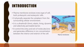 LEC 2 HISTO CELL MEMBRANE.pptx