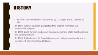 LEC 2 HISTO CELL MEMBRANE.pptx
