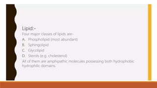 LEC 2 HISTO CELL MEMBRANE.pptx