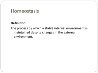 lec 2 Homeostasis and its mechanism with examples | PPTX