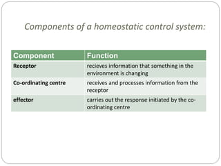 lec 2 Homeostasis and its mechanism with examples | PPTX