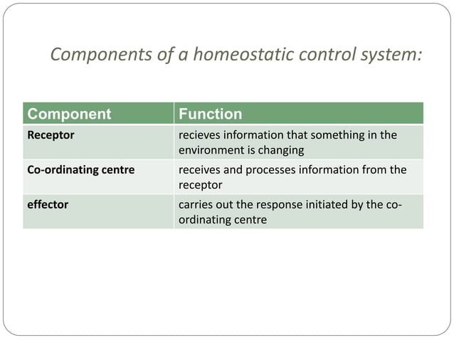 lec 2 Homeostasis and its mechanism with examples | PPT