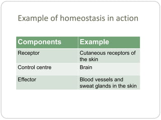 lec 2 Homeostasis and its mechanism with examples | PPTX
