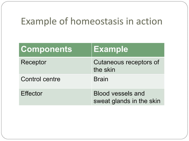 lec 2 Homeostasis and its mechanism with examples | PPT