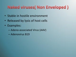 lec_2_intro_viruses.pdf