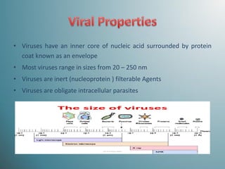 lec_2_intro_viruses.pdf