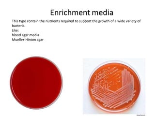 lec 2 media prepation.pptx................ | PPT