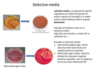 lec 2 media prepation.pptx................ | PPT