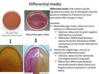 lec 2 media prepation.pptx................ | PPT