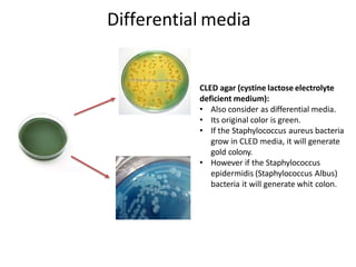 lec 2 media prepation.pptx................ | PPT