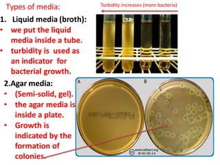 lec 2 media prepation.pptx................ | PPT