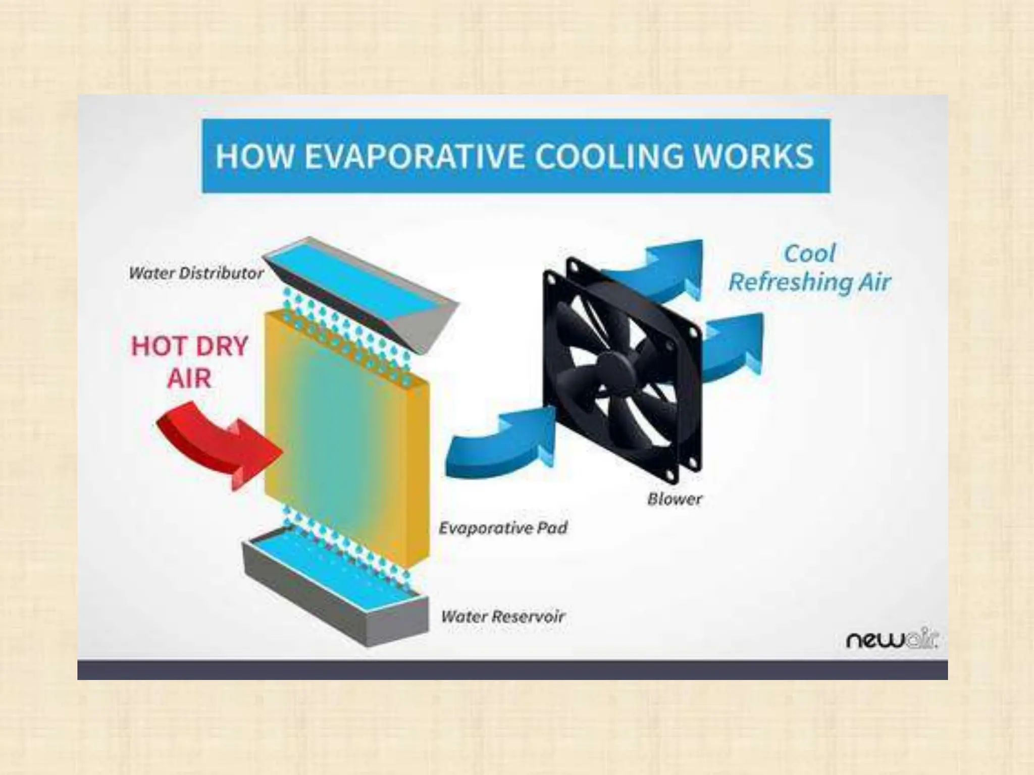 LEC 2 METHODS OF STORAGE.pptx storage ppt | PPTX