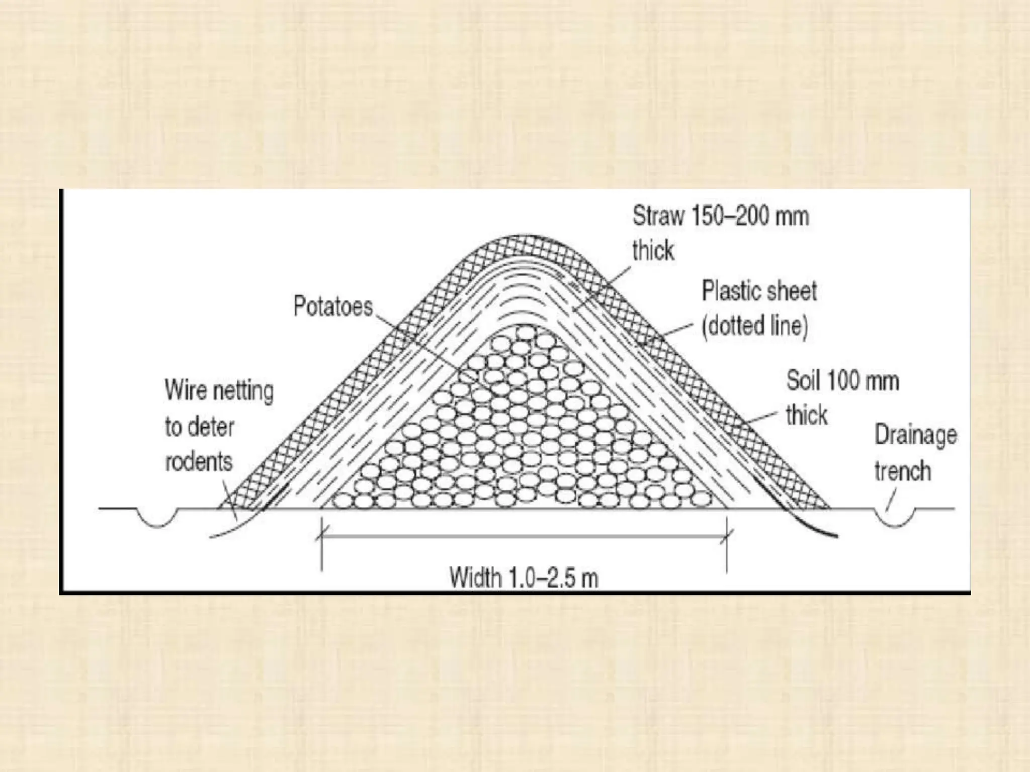 LEC 2 METHODS OF STORAGE.pptx storage ppt | PPTX