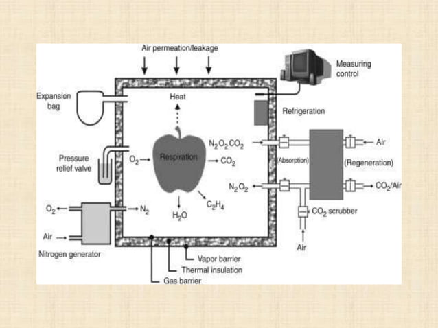 LEC 2 METHODS OF STORAGE.pptx storage ppt | PPTX | Gardening | Home ...
