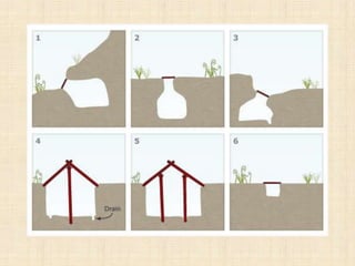 LEC 2 METHODS OF STORAGE.pptx storage ppt | PPTX | Gardening | Home ...