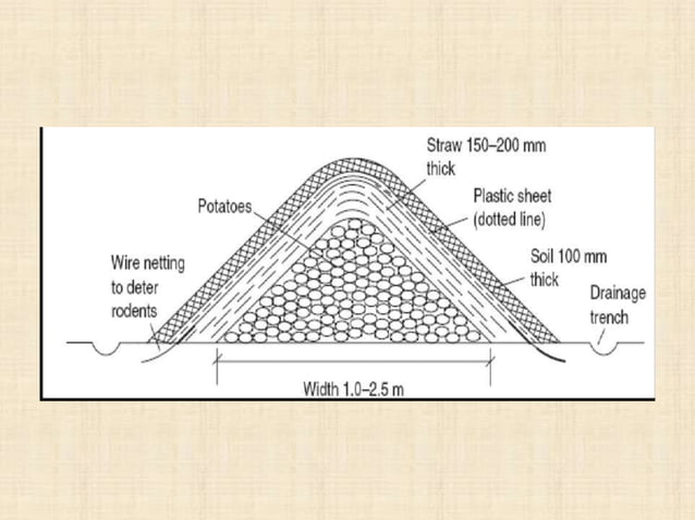 LEC 2 METHODS OF STORAGE.pptx storage ppt | PPTX | Gardening | Home ...