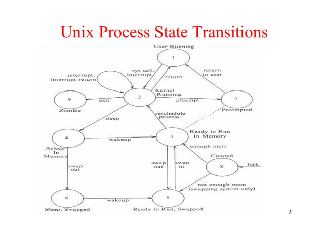 lec2 drgfhfjbhnvgProcesses_extra.pptx.pptx