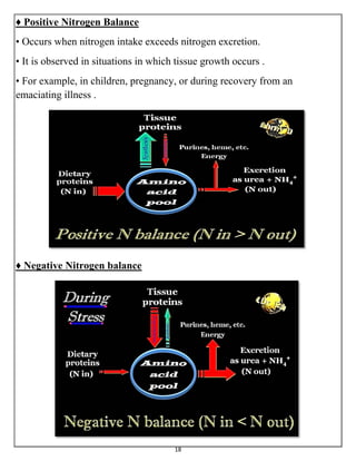 Macromolecules of life (Nucleic acids & Proteins) | PDF | Blood ...