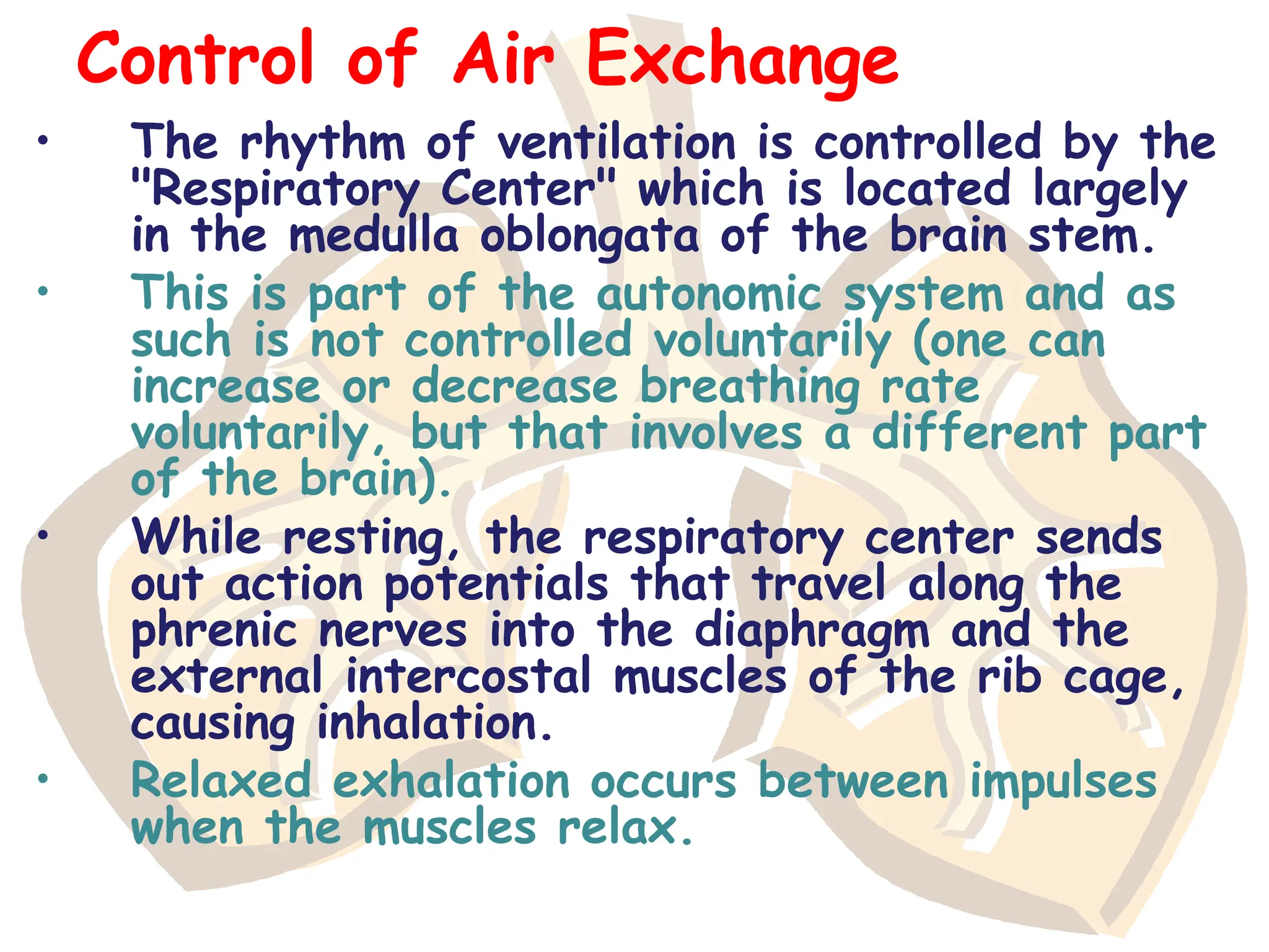 Lec 2 Respiratory system Structure function and detail. | PPT