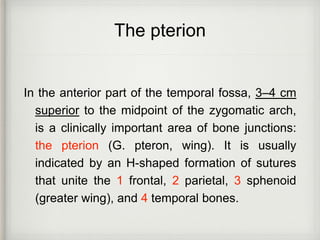 Lecture 2 skull chapter (2) | PPT