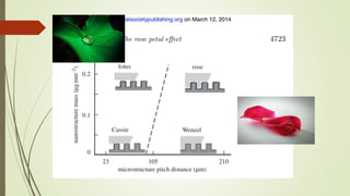 Lec_2_Superhydrophobic surfacebhfvnbvs.pptx
