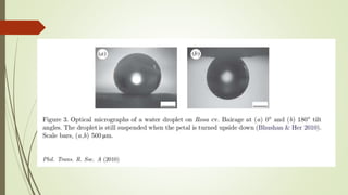 Lec_2_Superhydrophobic surfacebhfvnbvs.pptx