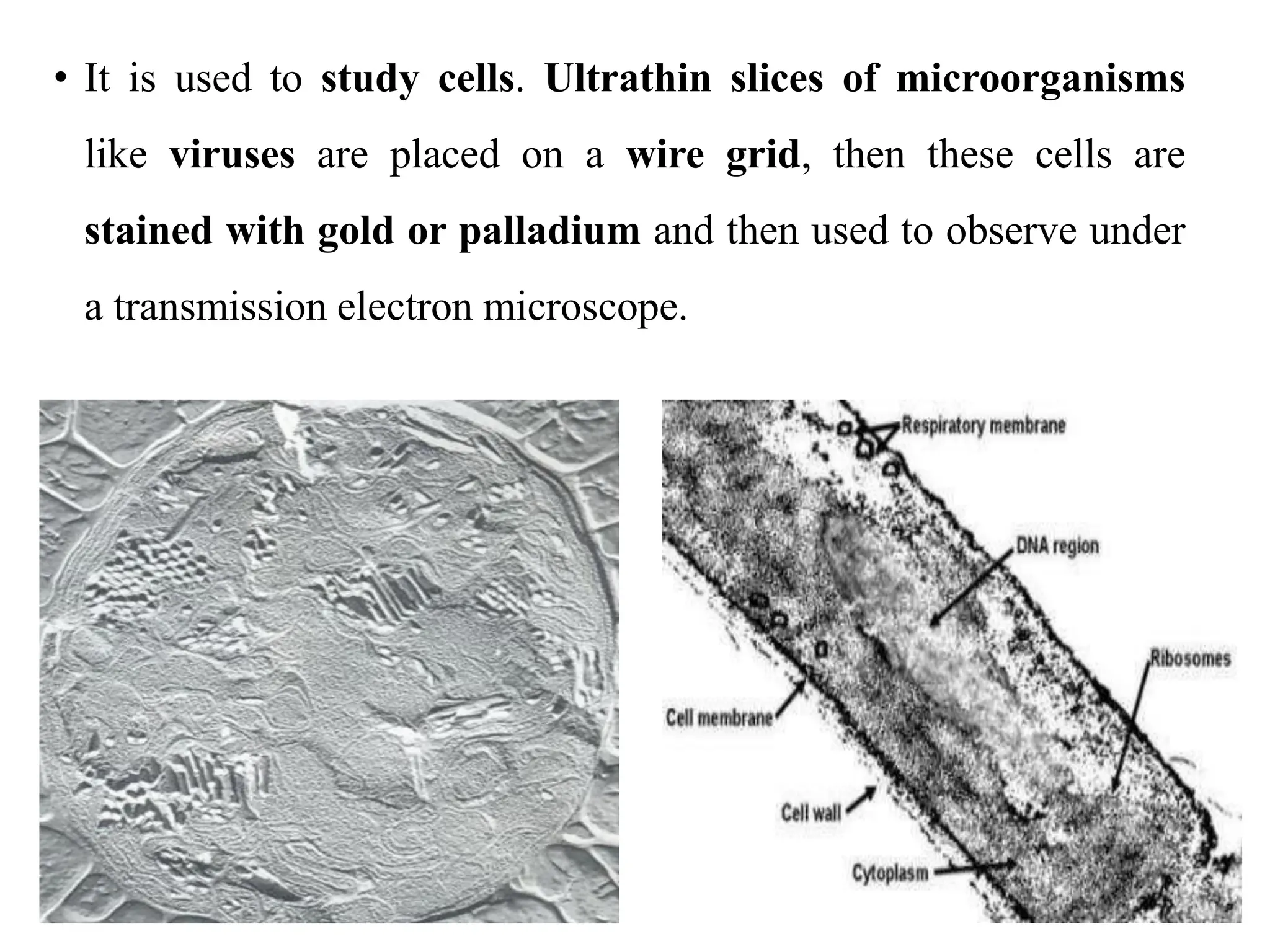 lec 2 Types of the Microscop.pdf Microscopy The science of investigating small objects and ...